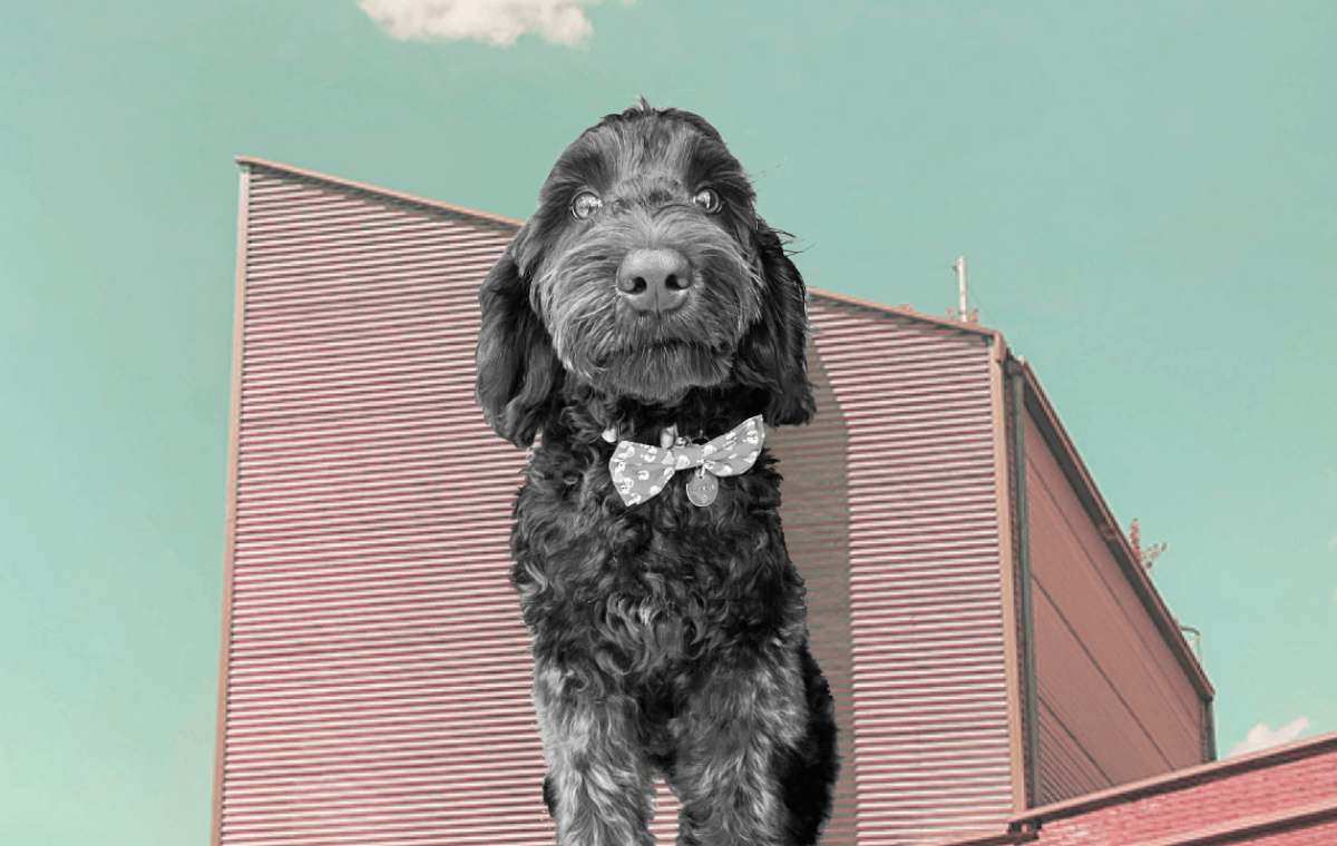 About Us | CertOne Building Certifiers